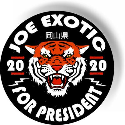 Tiger King Joe Exotic for President 2020 Car magnet Magnetic Bumper ...
