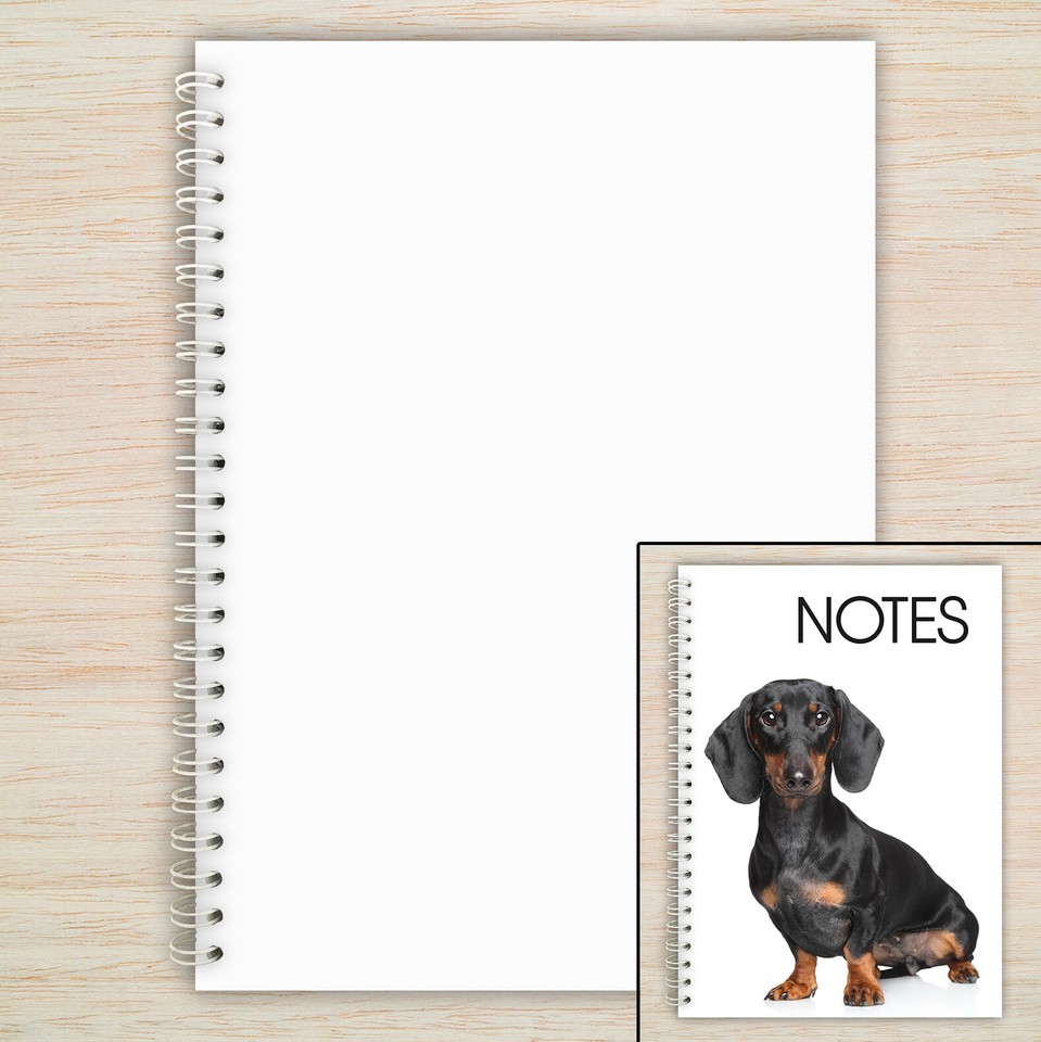 Dachshund A5 Notebook - Sausage Dog Spiral Blank Writing Pad - Dog ...