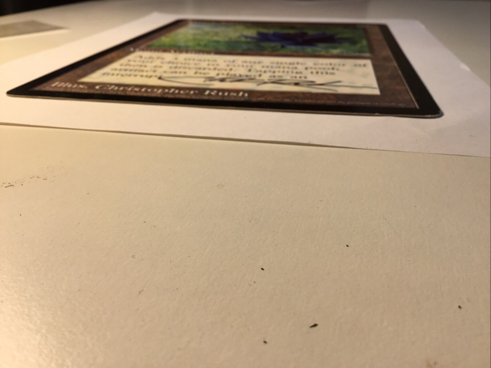 The Oversized Scrye #15 6x9 Black Lotus MTG Magic Artist Signed ...