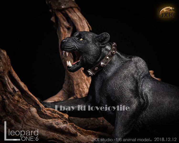 JXK 1/6 Leopard Black Panther Figure Animal Model Decor Jaguar Model ...