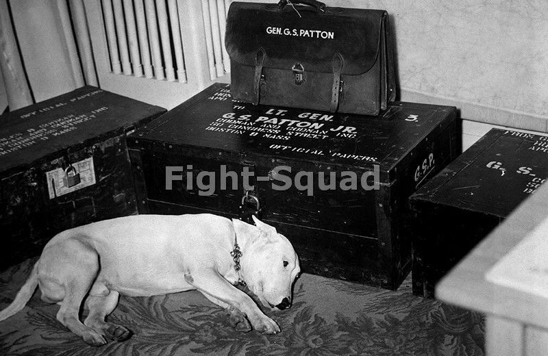 WW2 Picture Photo General George S. Patton Dog Willie 2610 | eBay