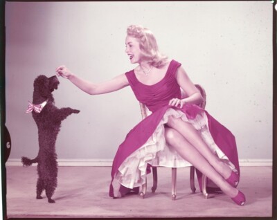 Janet Leigh 1950's Leggy Glamour Photo Shoot Black Poodle Original ...