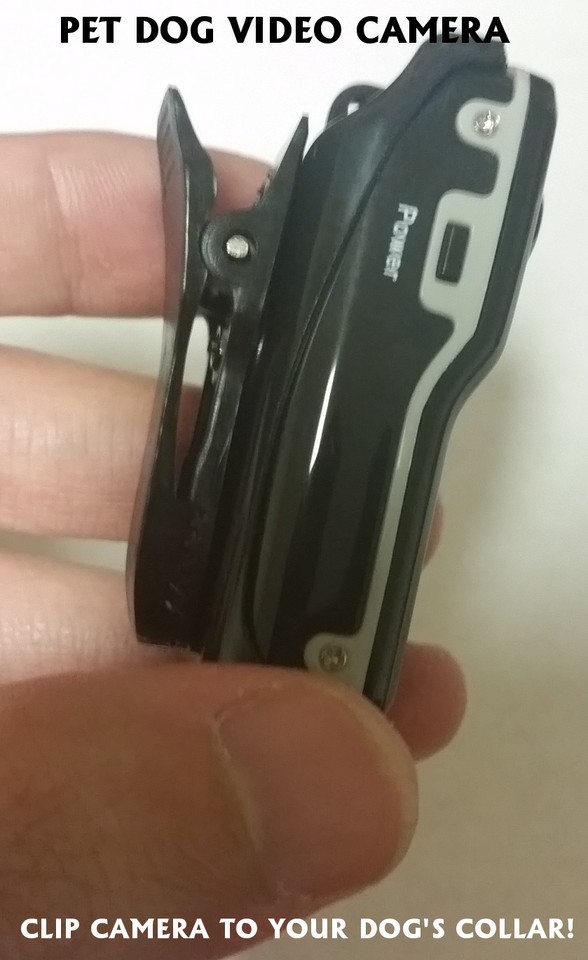 Wireless Pet Dog Video Camera Recorder Cam Video Color Audio Sound ...