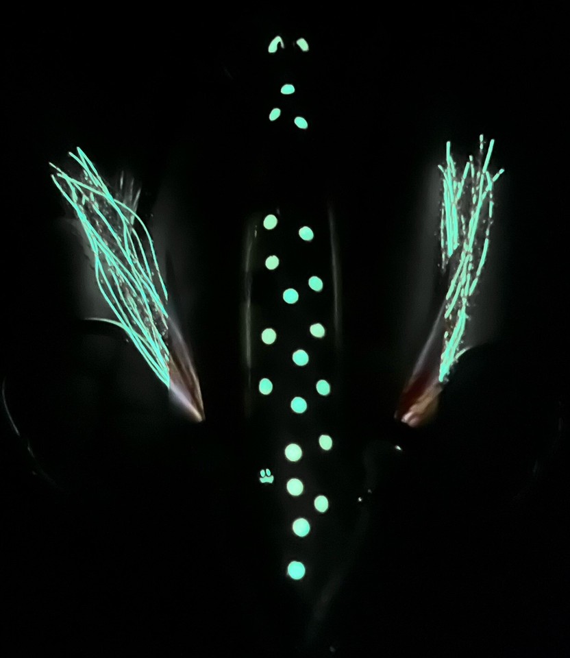 300g Heavy Jig BLUEFIN TUNA Bomb JIGS - Best Red BKK Glow Fully Rigged ...