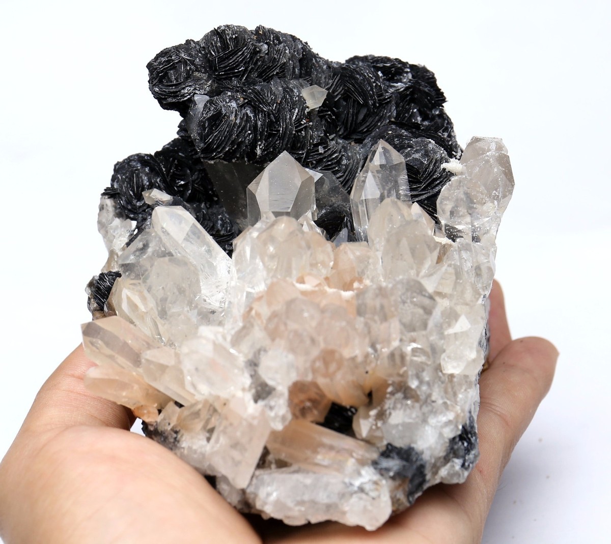 Quartz Cluster Black Mica & Quartz Cluster, Powers Farm, Pierrepont,