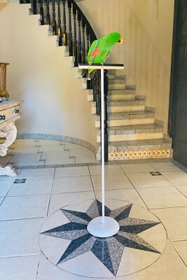 Parrot Training Perch -SMALL TO MED PARROTS - Made in Las Vegas FREE ...