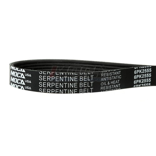 Serpentine Belt Fits CHEVROLET FORD GMC JEEP LINCOLN SAAB 6PK2555 MOCA ...
