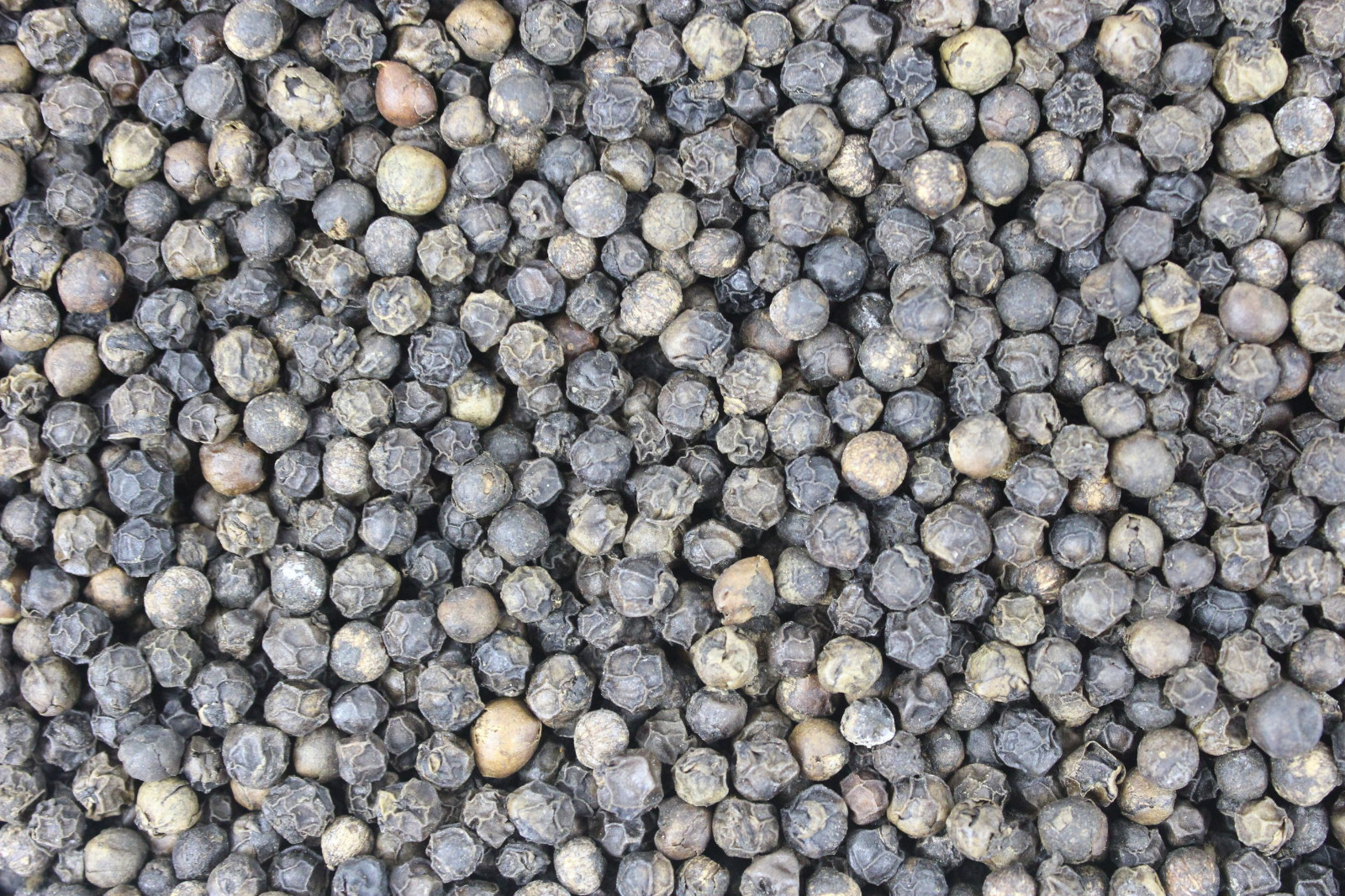 1000Kräuter Pfeffer schwarz ganze Körner 200 g | eBay.de