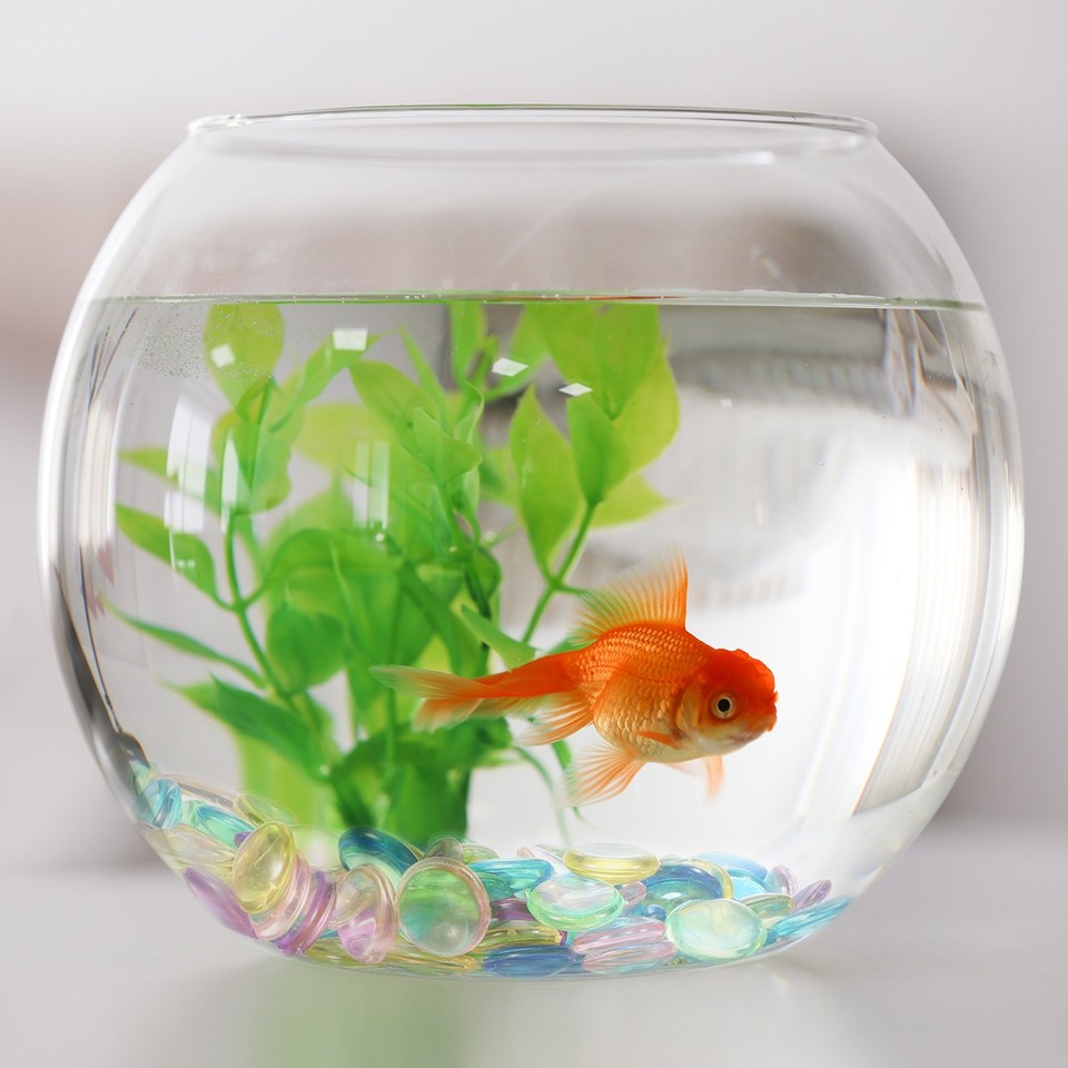 500G(1.1LB) Mini Acrylic Flat Marbles 15mm Vase Fillers Gems Decor Dark ...