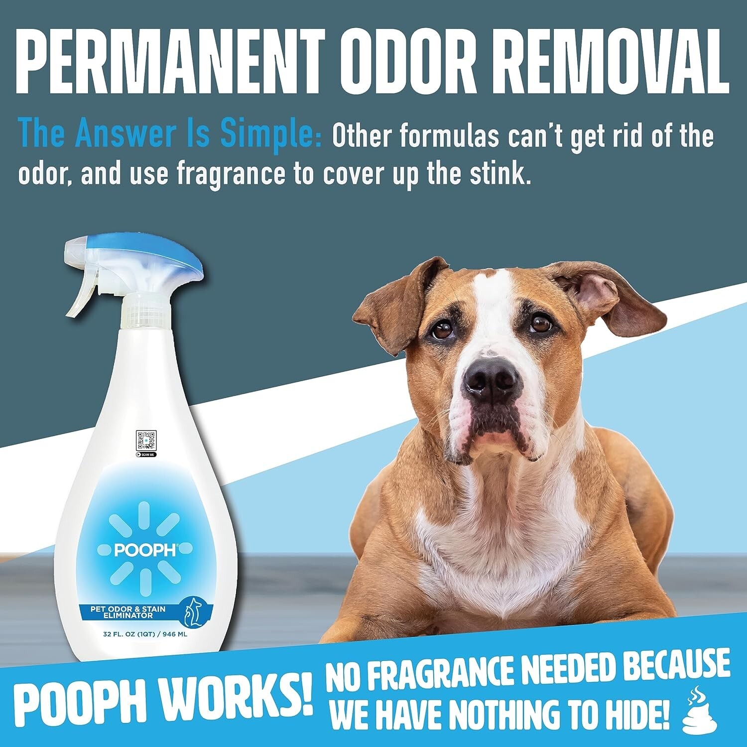 Pooph Pet Odor Eliminator, 32Oz Spray - Dismantles Odors on a Molecular ...