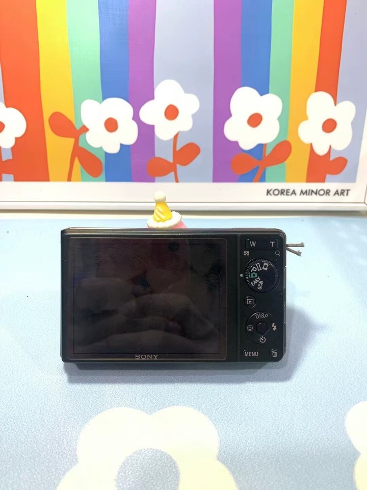 Sony Cyber-Shot DSC-W370 14.1MP with 7x Wide Angle Zoom Digital Camera ...