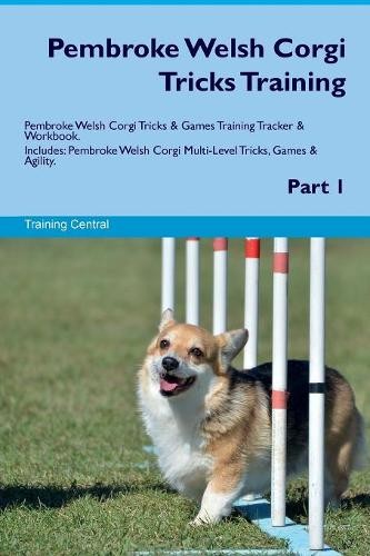 Pembroke Welsh Corgi Tricks Training Pembroke Welsh Corgi Tri ...