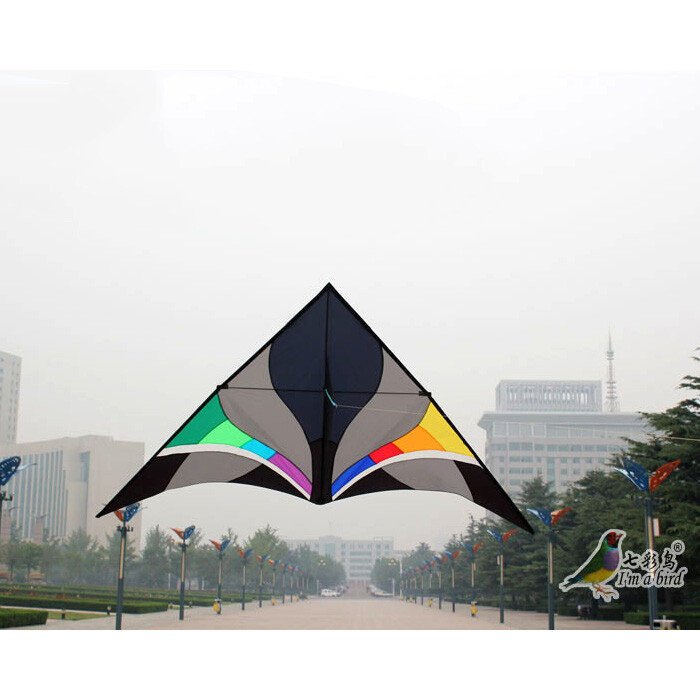 NEW POWER Triangle kite STUNT KITE Outdoor fun Sports Toys Delta kites ...