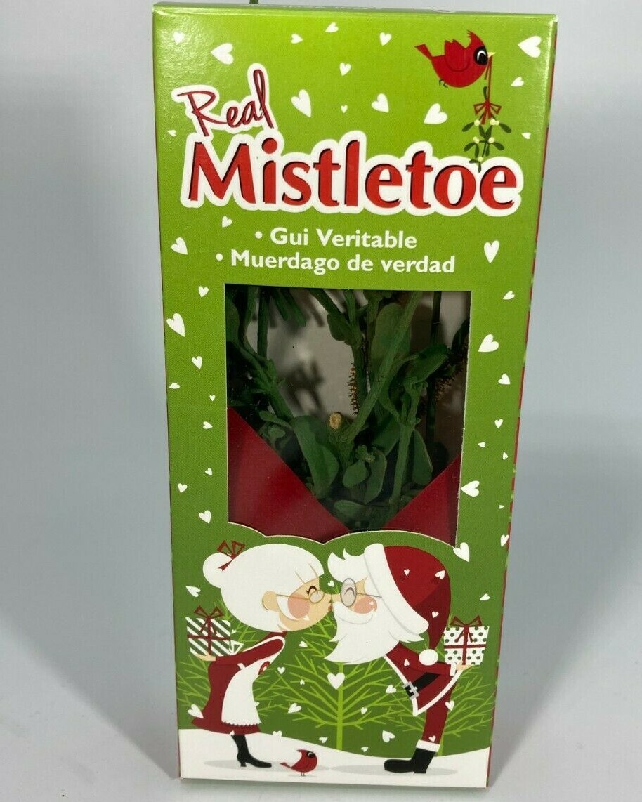 Real Mistletoe
