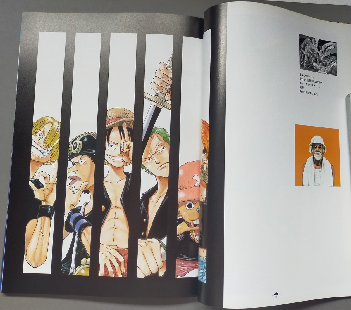One Piece Color Walk 3 Lion Art Book By Eiichiro Oda Ebay