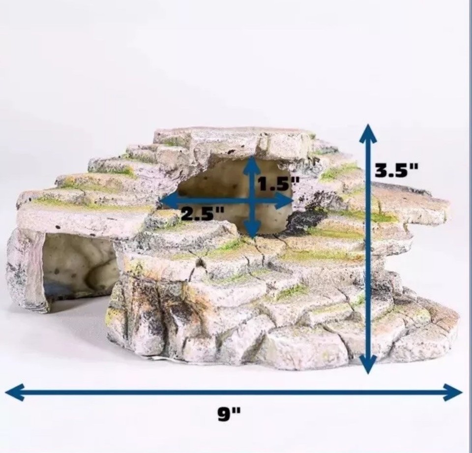 Reptology Shale Scape Step Ledge & Cave Hideout – Basking Area Medium ...