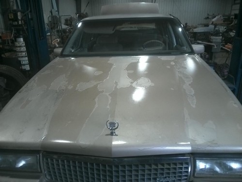 Hood Fits 89-90 DEVILLE 119093 | eBay