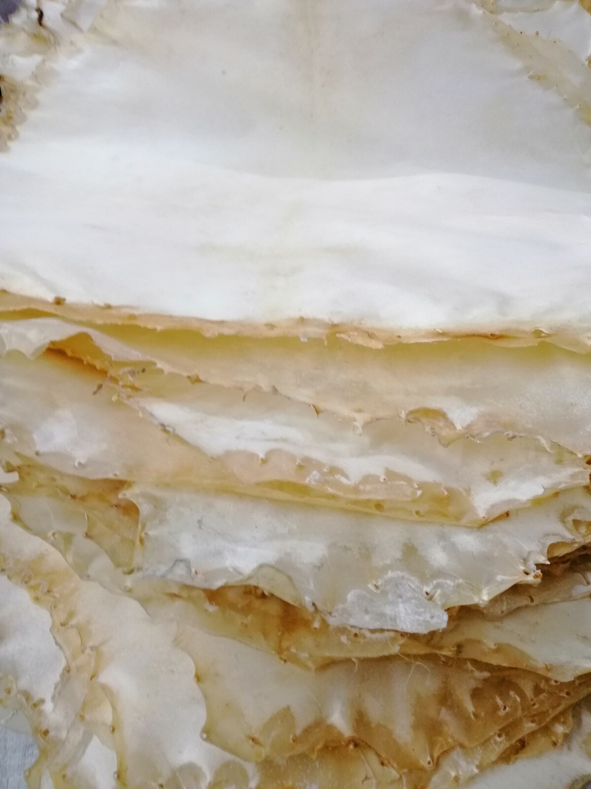 Vellum parchment goat skin natural white for furniture calligraphy book ...