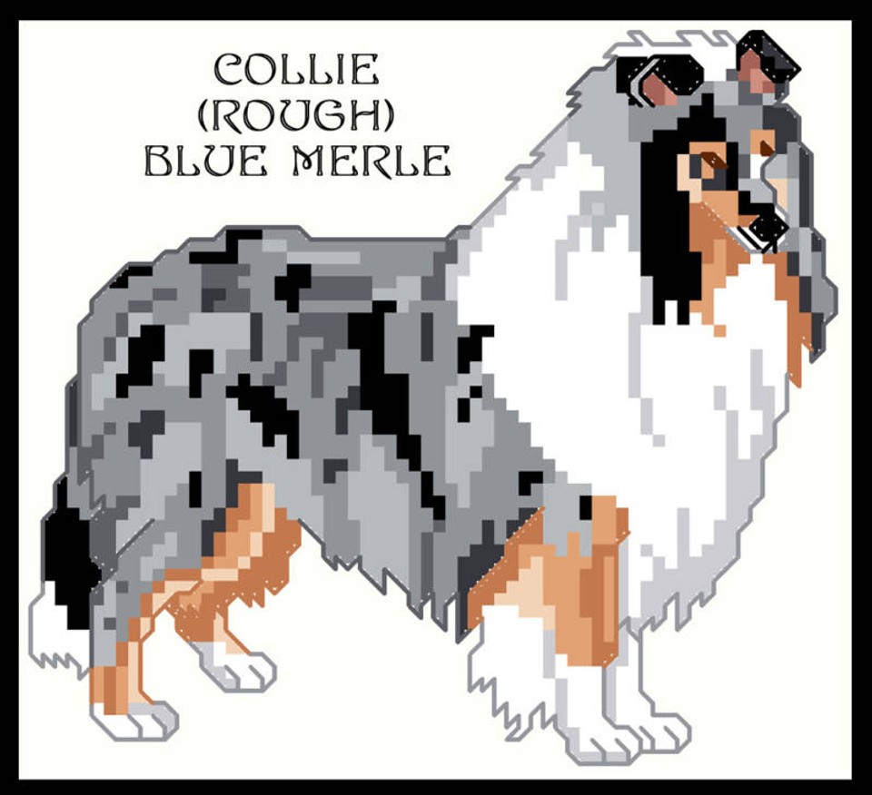 COLLIE, BEARDED & BORDER COUNTED CROSS STITCH PATTERNS | eBay