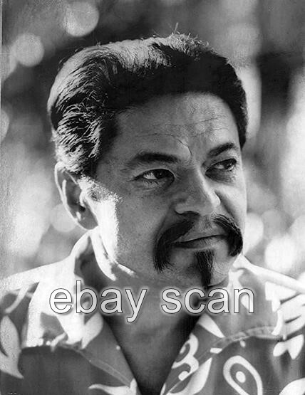 Actor Ross Martin 60 Photos - Moonagedaydream.film