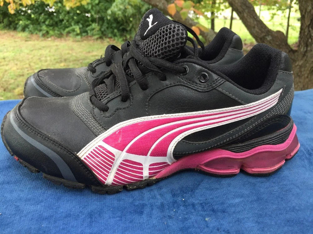 Puma Cats For Sale Discount | emergencydentistry.com