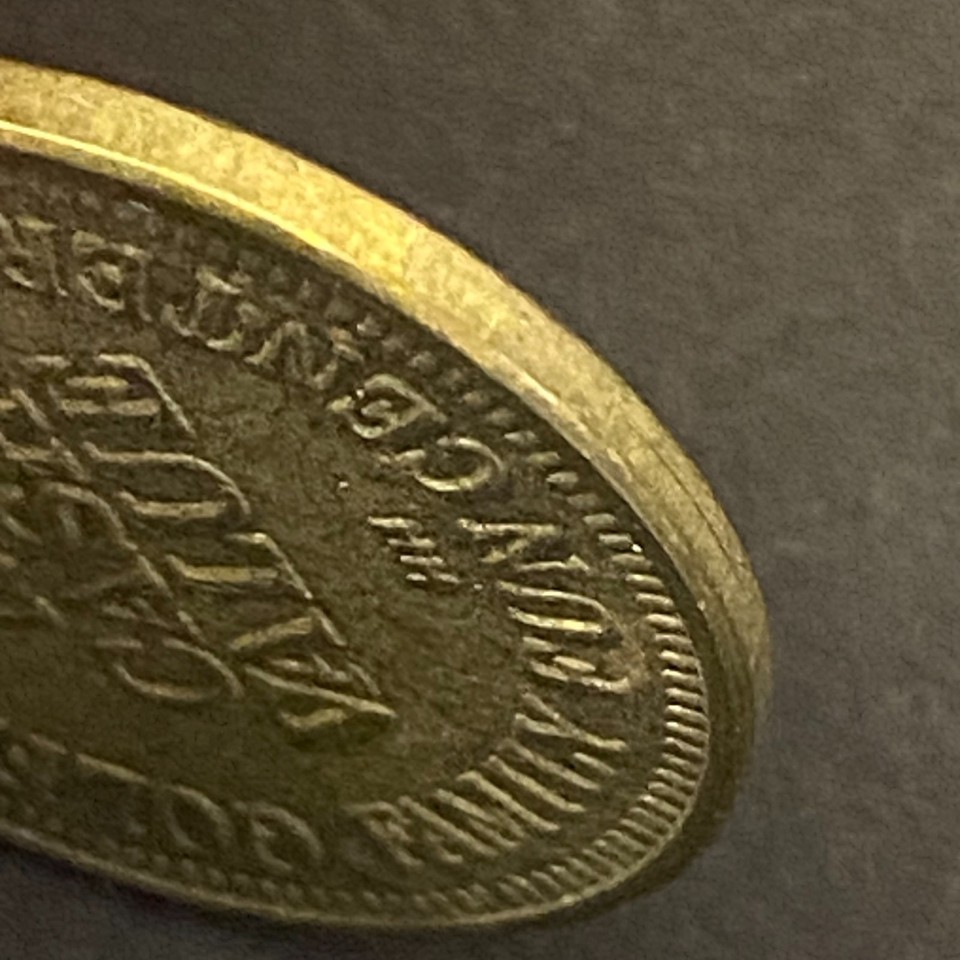 Family Fun Center Token Amusement Arcade Golfland 22.5mm 5g (#2) | eBay