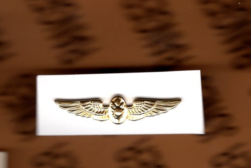 USN Navy Aviation flight Nurse wing miniature uniform 1.50" badge | eBay