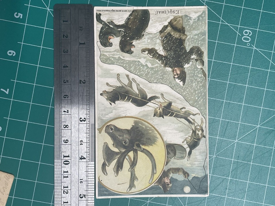 1893 Arbuckle Ariosa Coffee Victorian Trading Card Reindeer Dogs Seals ...