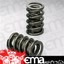Isky ISK9999RAD Tool Room Rad9000 Valve Springs 1.600" OD 250LB Seat ...