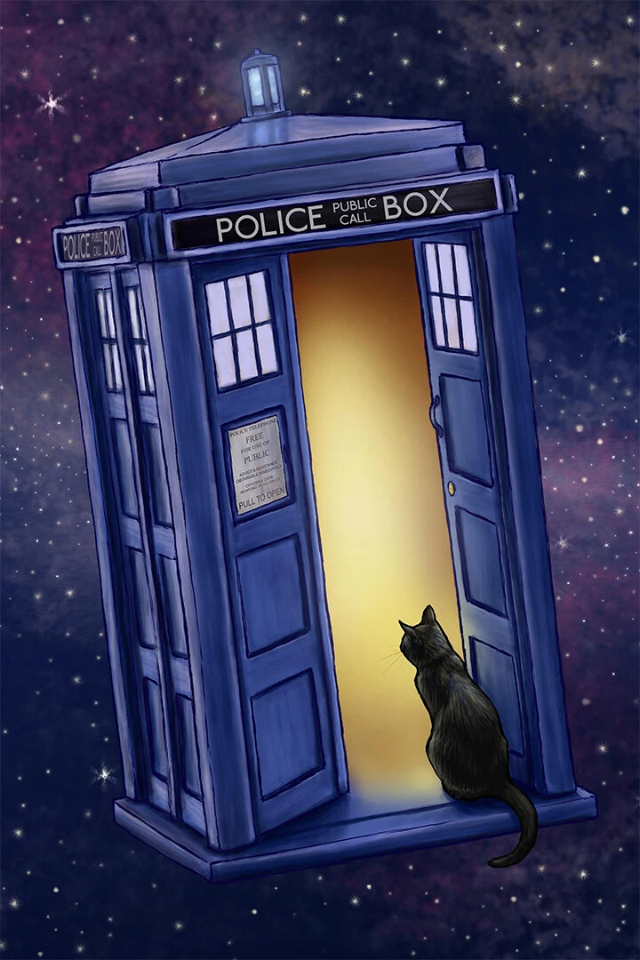 Tardis In Space