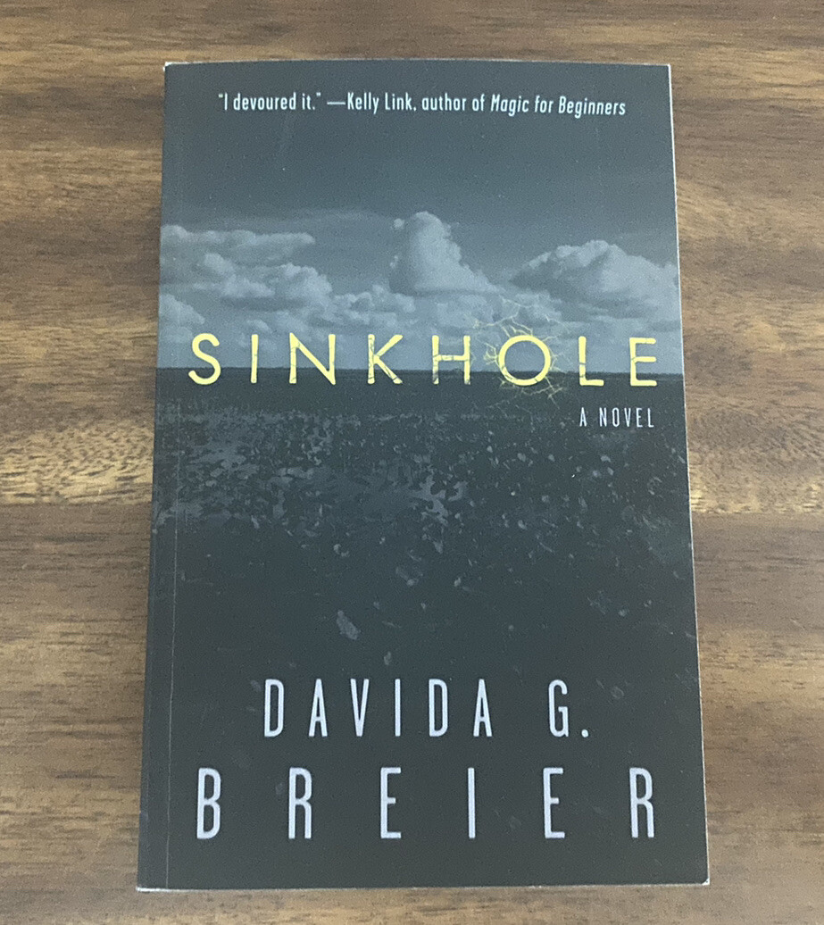 Sinkhole by Davida Breier (2022, Trade Paperback) FREE SHIPPING ...