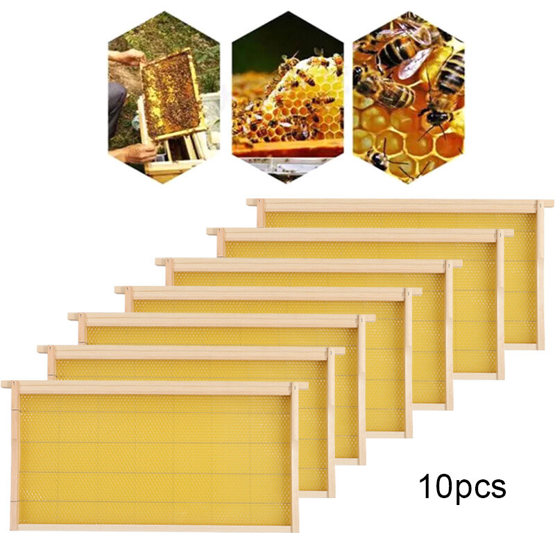 10x Large Brood Frames Langstroth Bee Pupa Honey Bee Hive Frame Wires ...