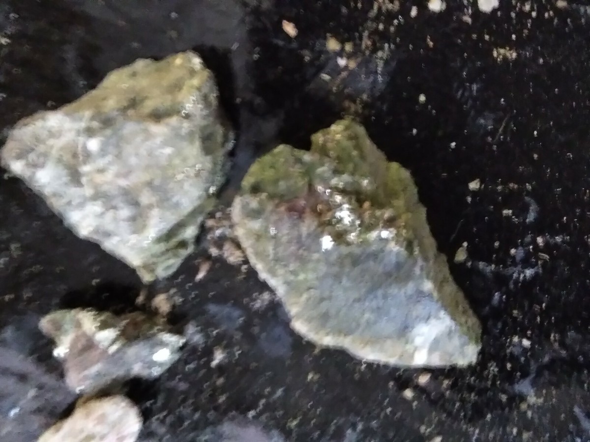 Palladium Ore