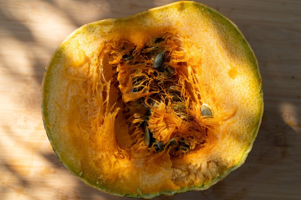 Styrian Hulless Pumpkin Seeds for Planting: Non-GMO Seed Packet or Bulk ...