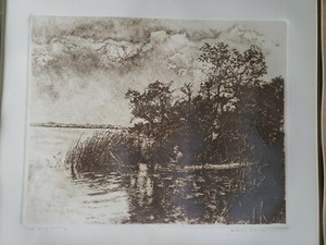 Herbert Fink Artist Etching Pencil Signed 197/250 Litho Print 1978 Lazy ...