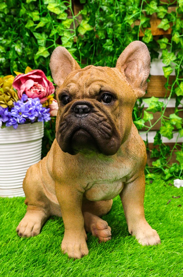 Large Lifelike Realistic French Bulldog Statue With Glass Eyes 15.75"H ...