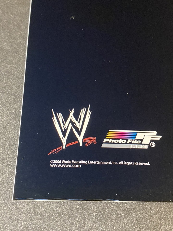 WWE Candice Michelle 2006 Offically Licensed 8x10 Glossy Photo #1 WWE ...