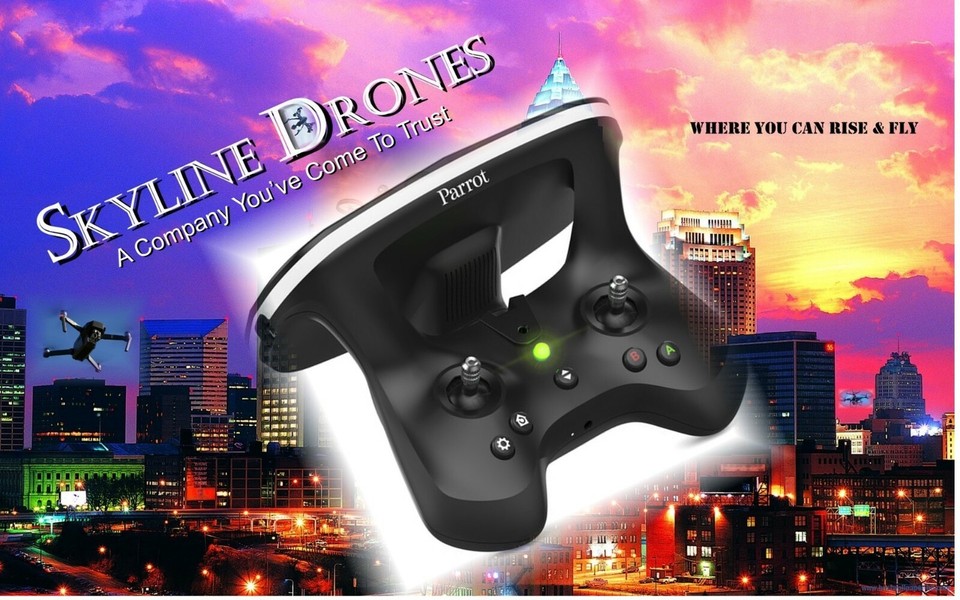 Parrot Bebop 2 Skycontroller 2.....Sky Controller 2 with Silver ...