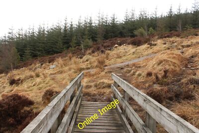 Photo 6x4 Footbridge at Criffel Path Kirkbean c2013 | eBay UK