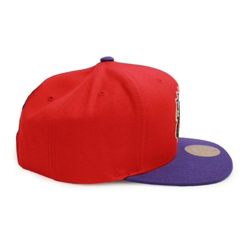 Mitchell & Ness Red/Purple NBA Toronto Raptors HWC Core Basic Snapback ...