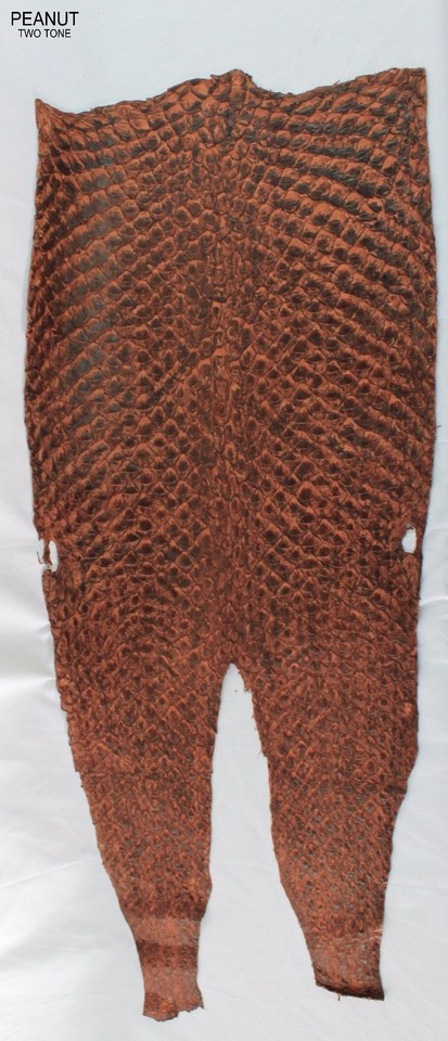 Pirarucu skin, Arapaima skin (TWO TONE ANTIQUED) 3 colors available see ...