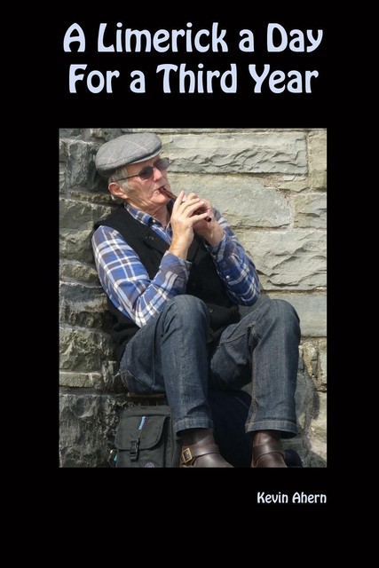 A Limerick a Day For a Third Year von Kevin Ahern (2014, Taschenbuch ...