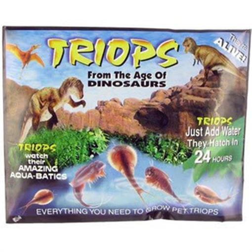 Amazing Triops From the Age Of the Dinosaurs, 80 Triop Eggs | eBay