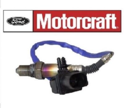 NEW Ford F-150 2011-2016 Motorcraft DY1185 Oxygen Sensor | eBay