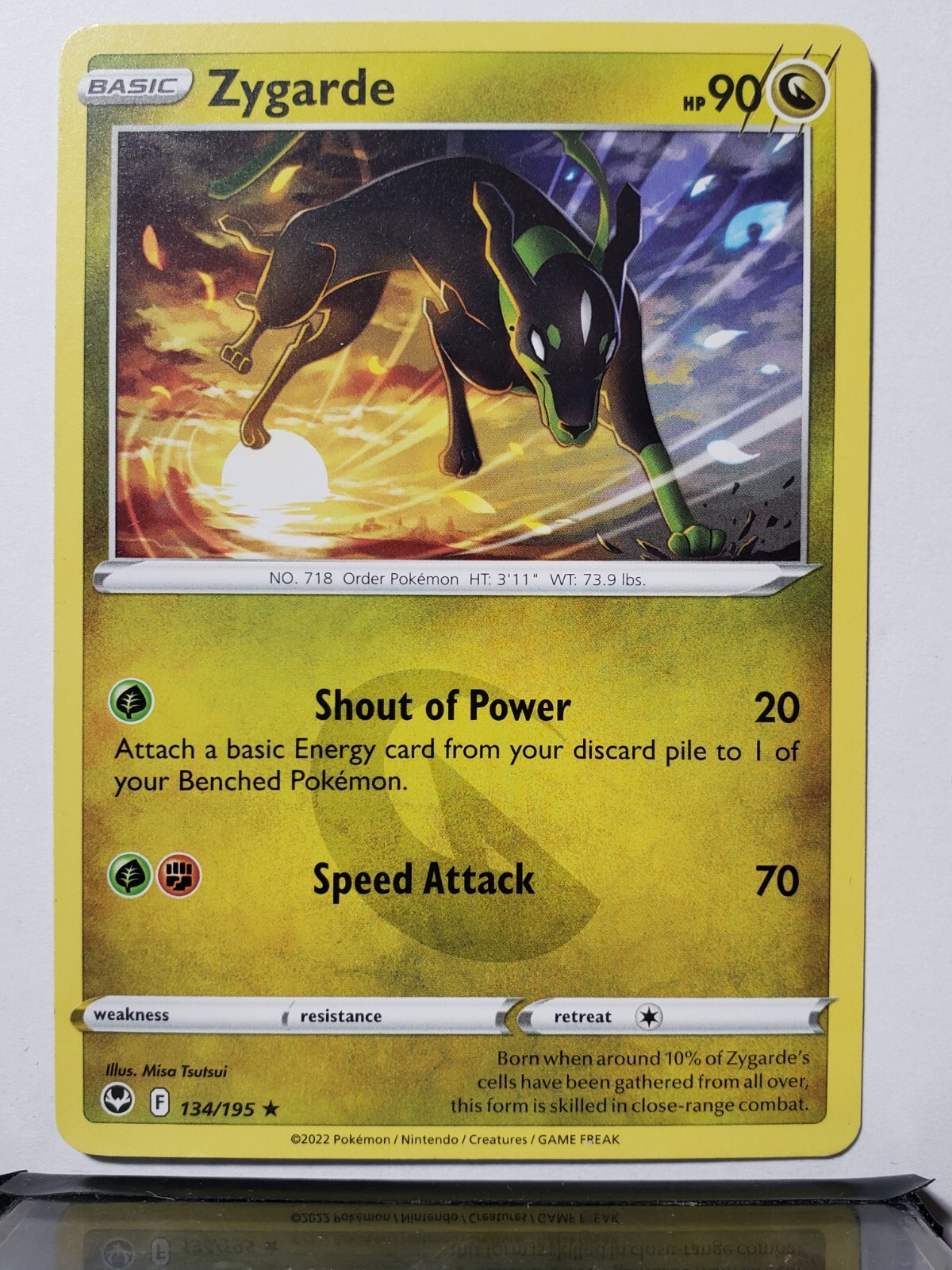 Zygarde Pokemon Card