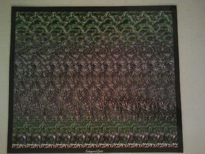 Poster 3D Stereogram EYE MAGIC Illusion Elephant Cricket Player SAME ...