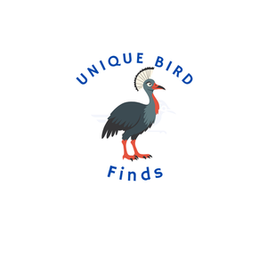Unique Bird Finds | eBay Stores