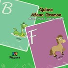 Qubee Afaan Oromoo - Afaan Oromo Alphabet: Afaan Oromo Children's Book ...