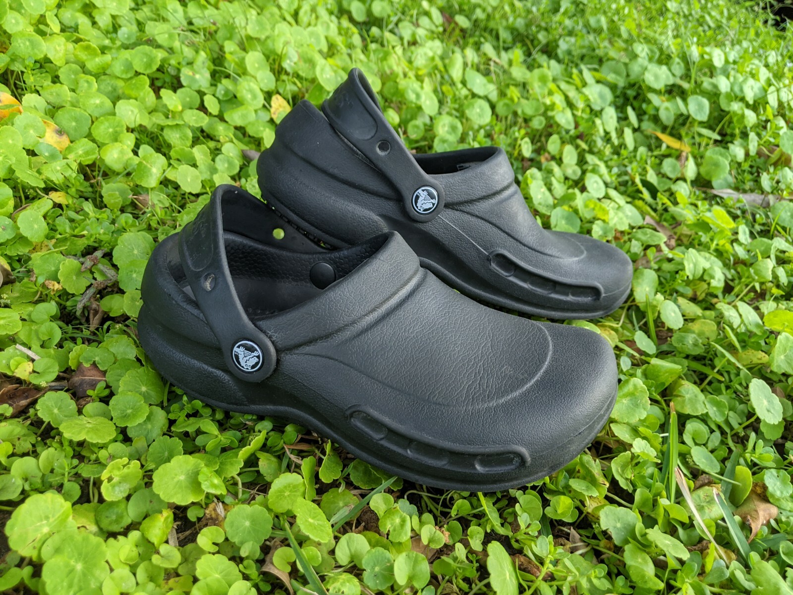 crocs bistro work clogs - Gem