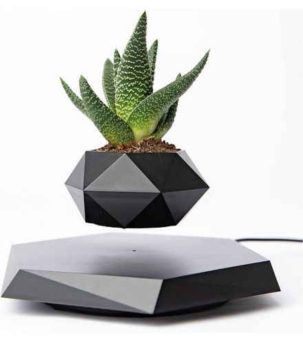 Levitating Plant Pot, Floating Magnetic Pot, Home & Office Decor, Auto ...